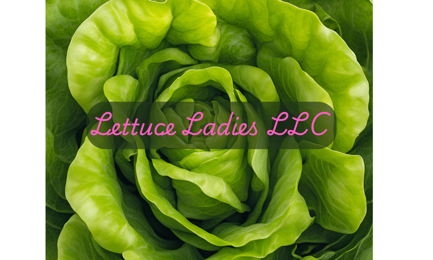 Lettuce Ladies LLC – Vegan America