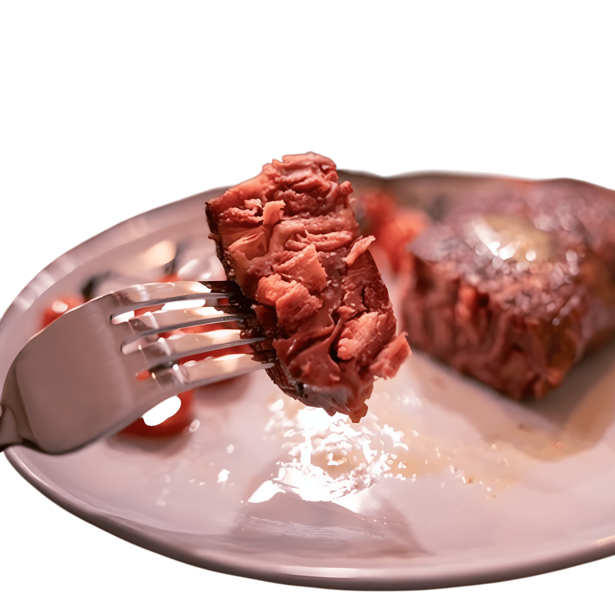 Premium Plant-Based Filet Mignons – Juicy & High Protein – Vegan America